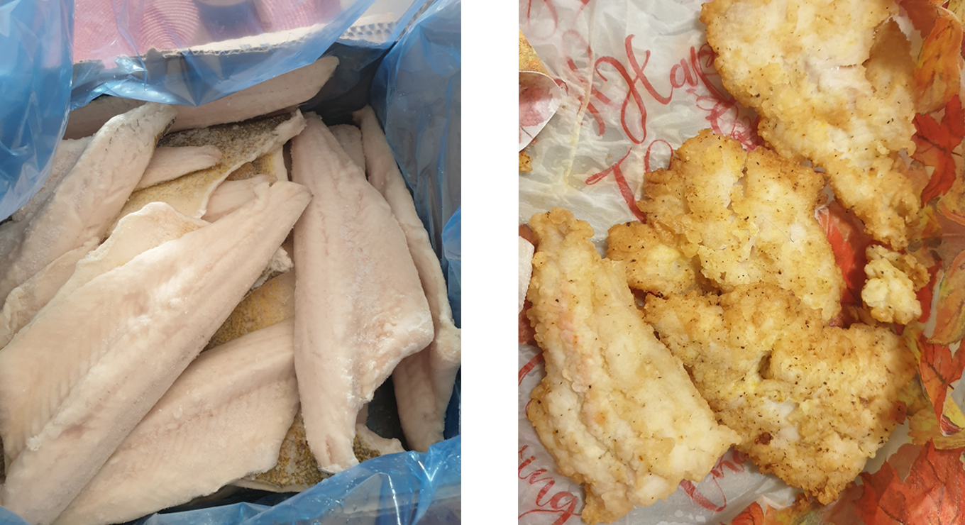 Arriving in Northern First Nation During COVID-19 - Gakino'amaage ...